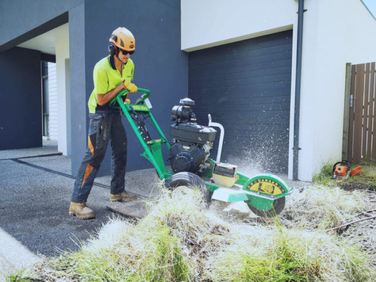 What can you do with stump grinding mulch?