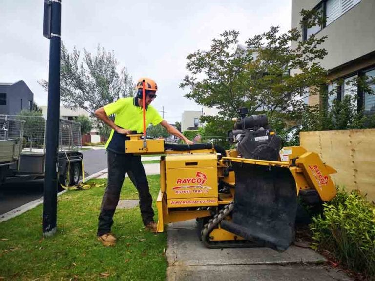 Stump Grinding Pascoe Vale | Stump Removal Experts | Proleaf Pty Ltd