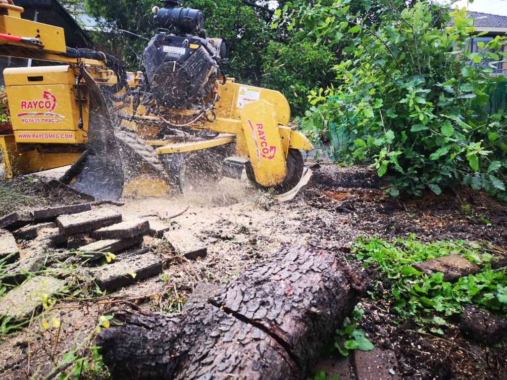 Proleaf Pty Ltd | Tree Services Melbourne | Local Arborists