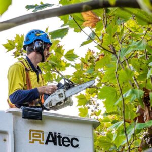 Proleaf Pty Ltd | Tree Services Melbourne | Local Arborists